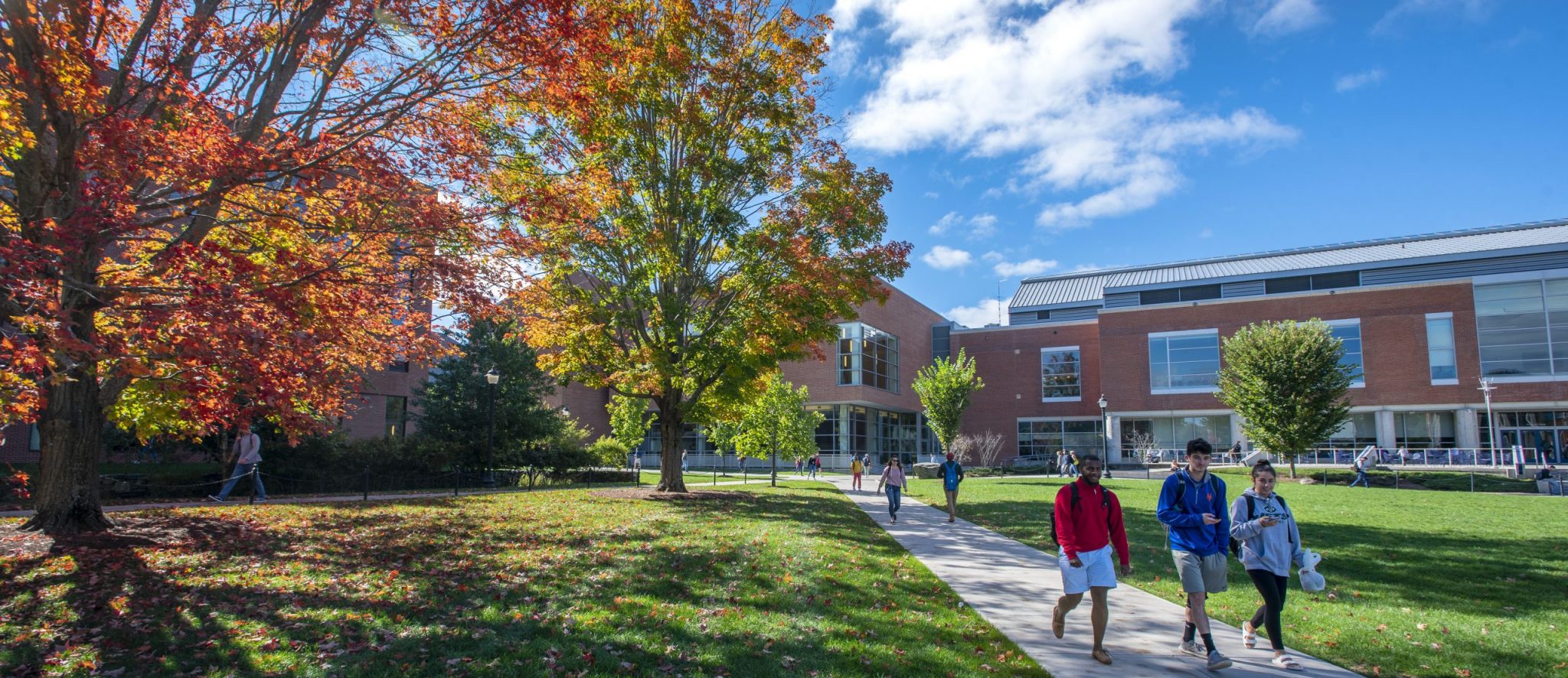 Advising Resources | Undergraduate Academic Programs