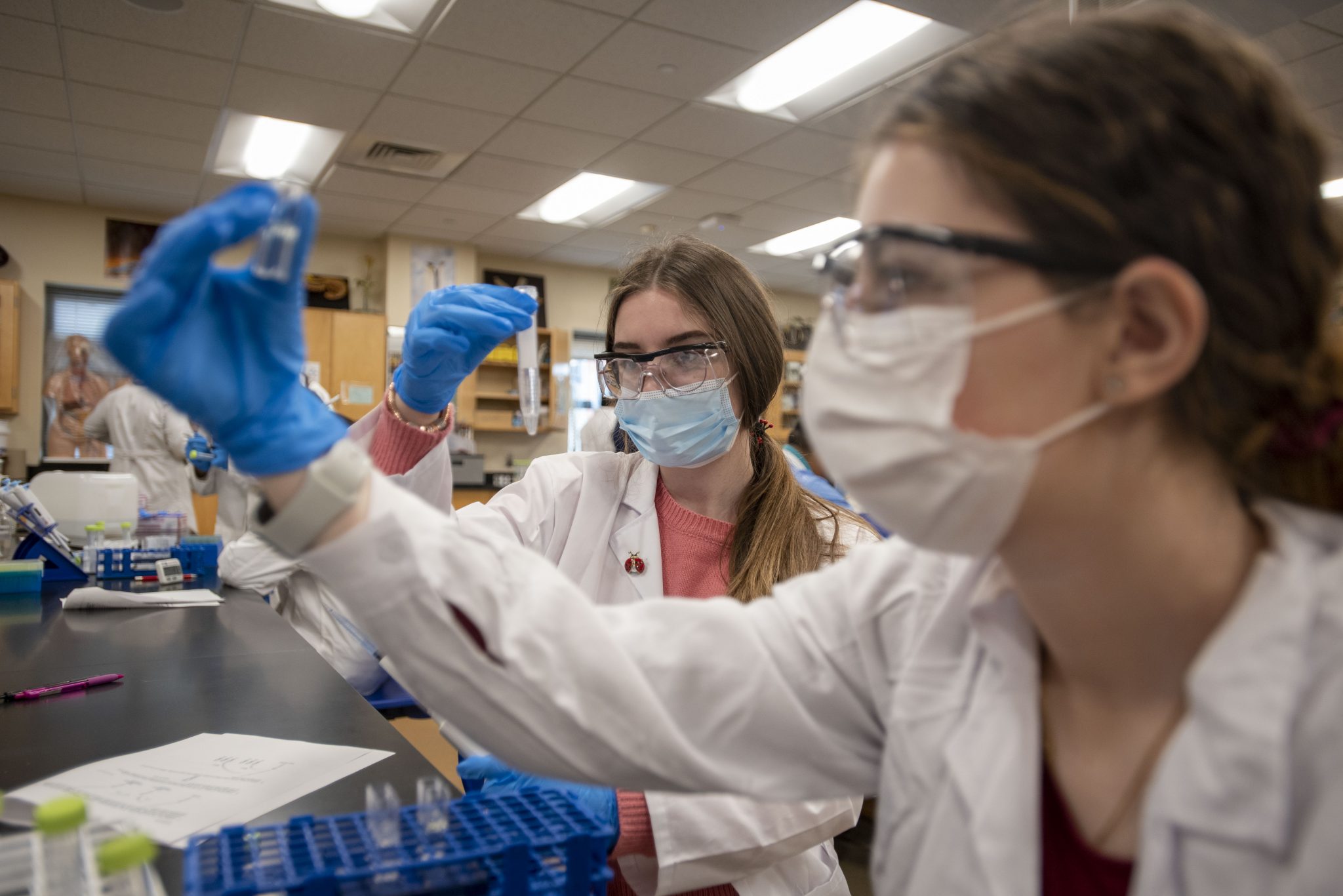 Career Resources | Undergraduate Academic Programs