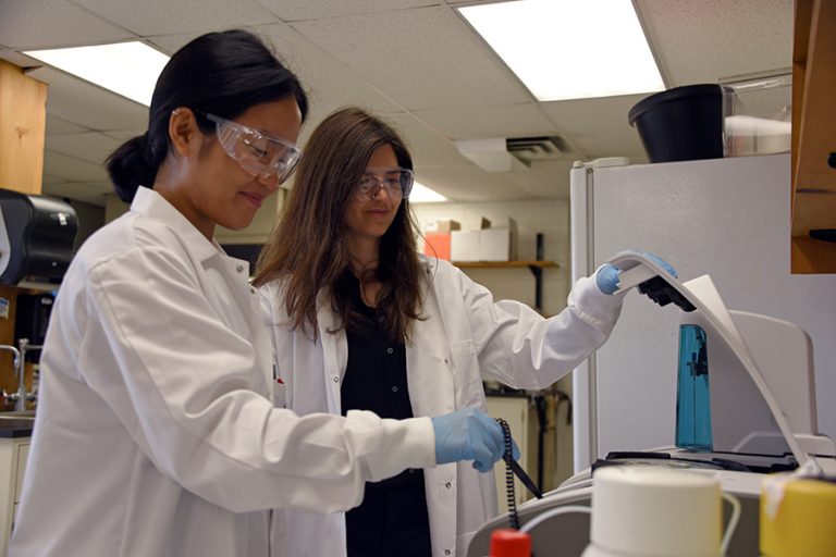 Majors and Minors | Undergraduate Academic Programs