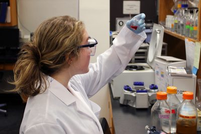 Home | Undergraduate Academic Programs