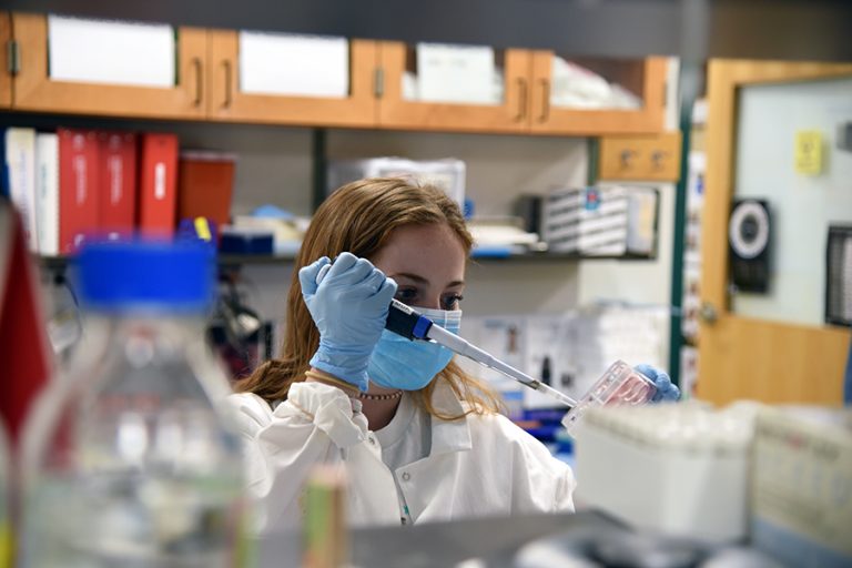 Majors and Minors | Undergraduate Academic Programs