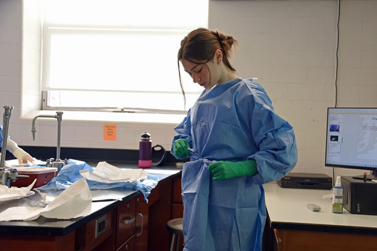 Majors and Minors | Undergraduate Academic Programs