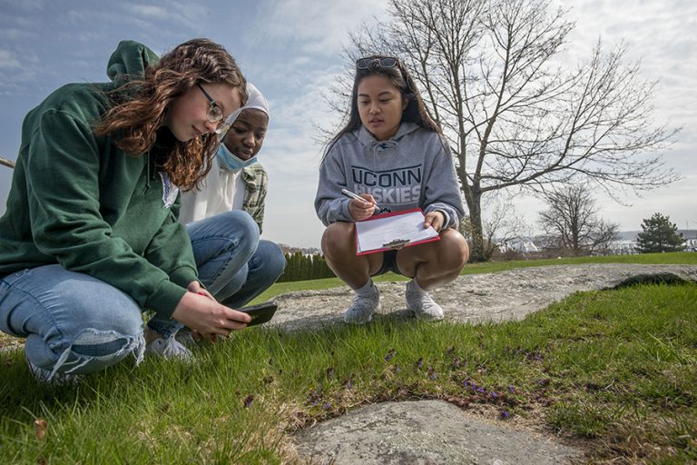 Degree Options | Undergraduate Academic Programs